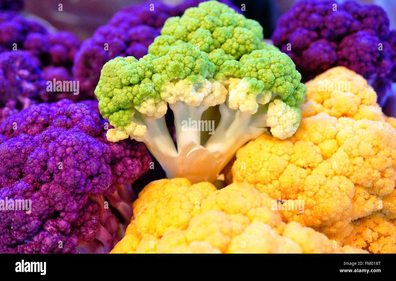 Colorful purple, green and yellow cauliflower Stock Photo - Alamy