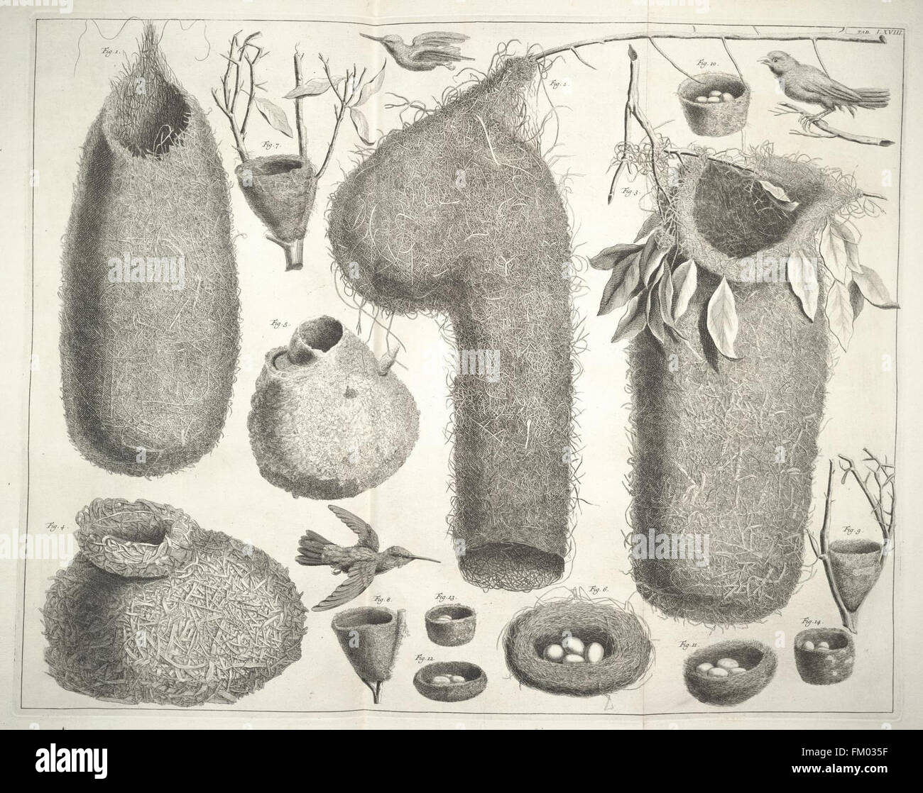 Work provides physical natural hi-res stock photography and images - Alamy