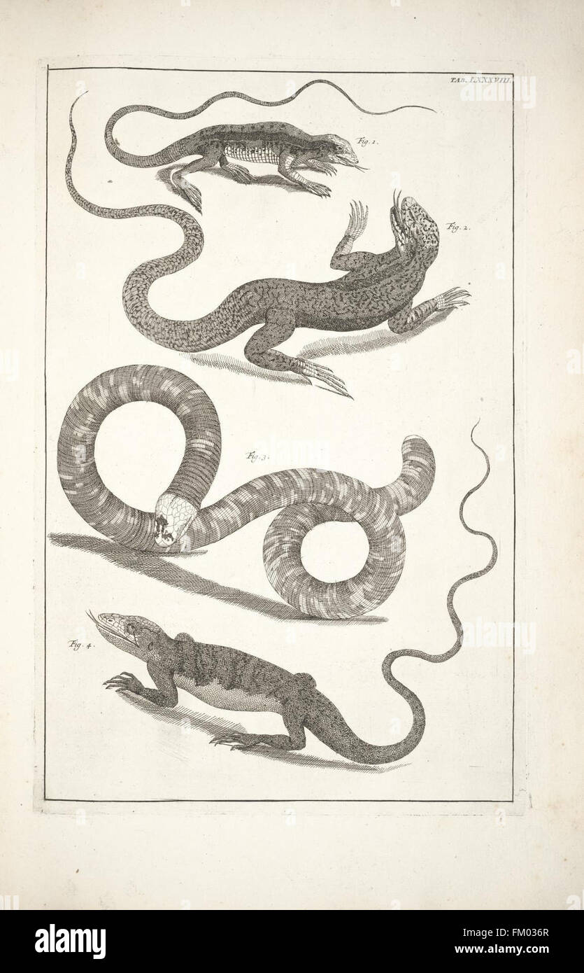 This historical natural history work provides a comprehensive ...
