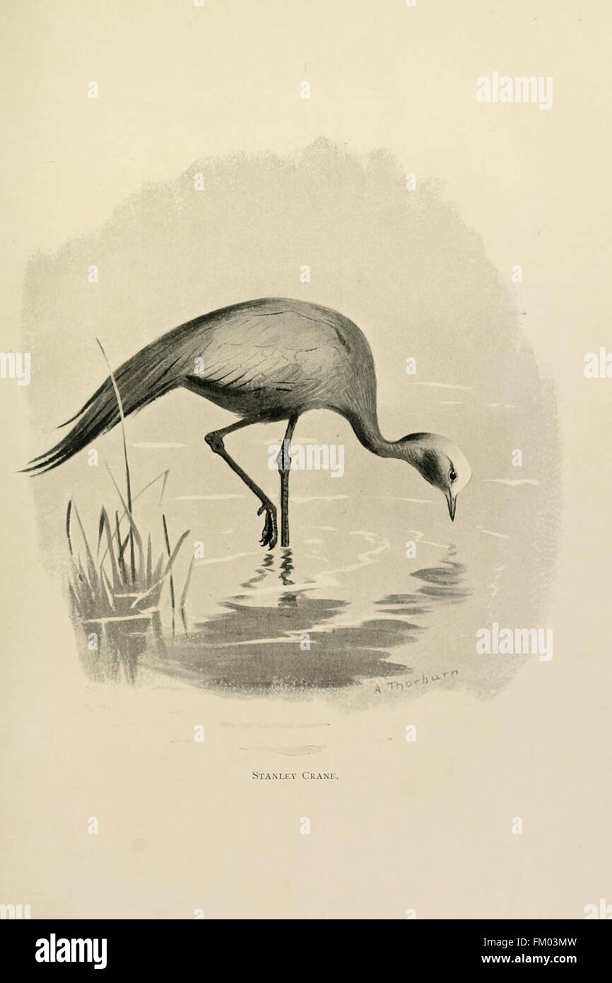 Lilford hi-res stock photography and images - Alamy