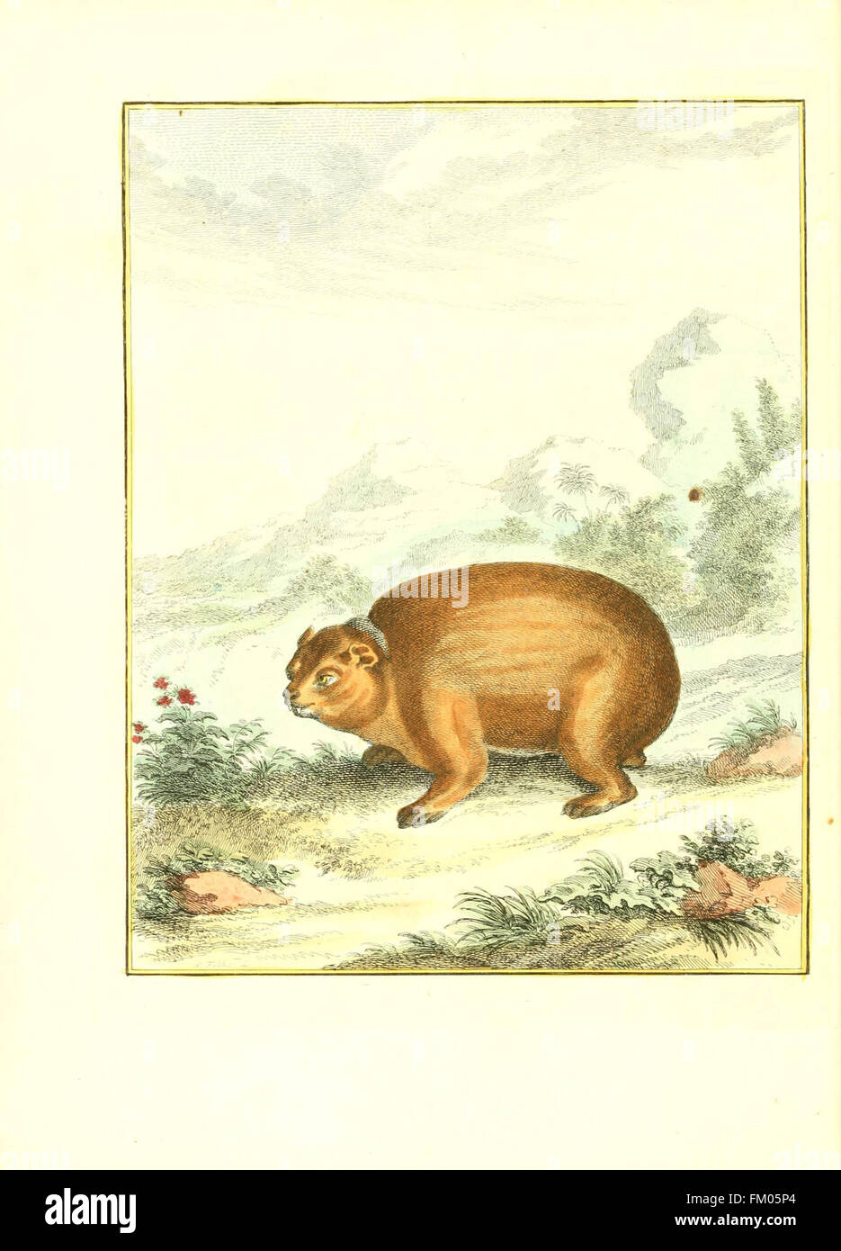This work provides a detailed description of a remarkable collection of ...