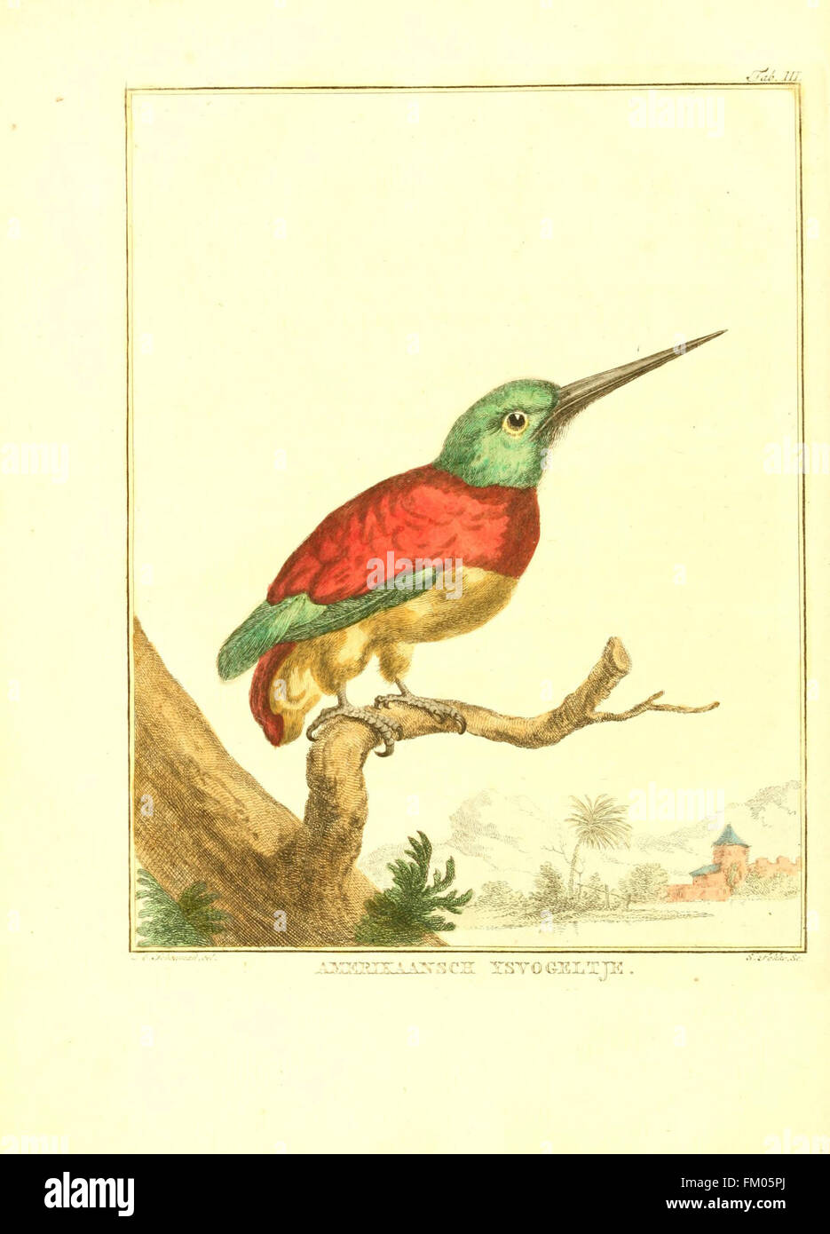 A scientific description of a remarkable collection of rare animals ...