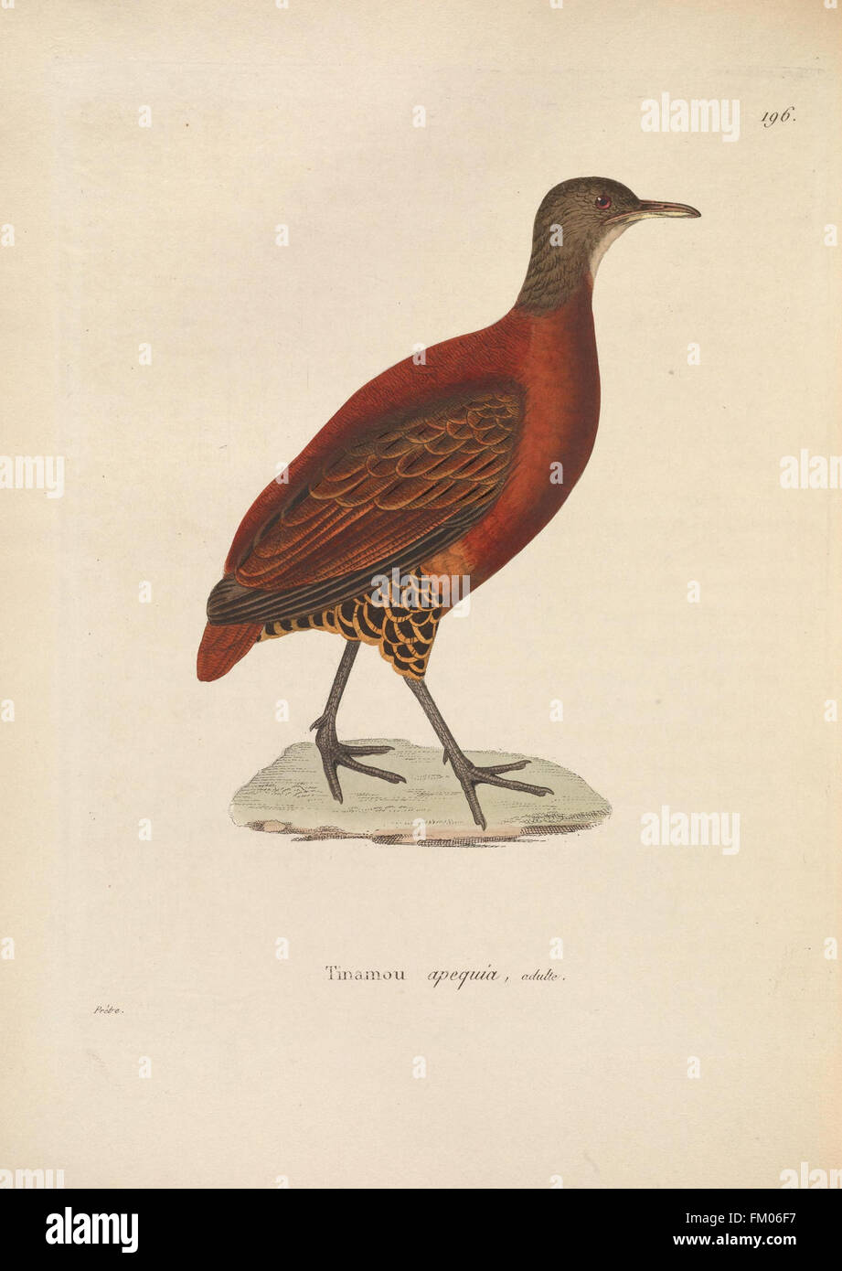 18th century work features hi-res stock photography and images - Alamy