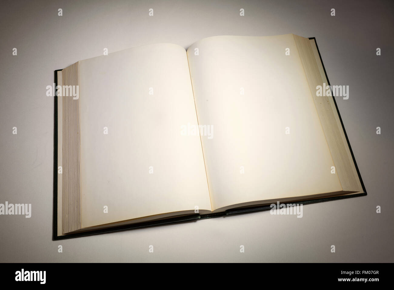 Blank white pages in an open hardcover book Stock Photo - Alamy