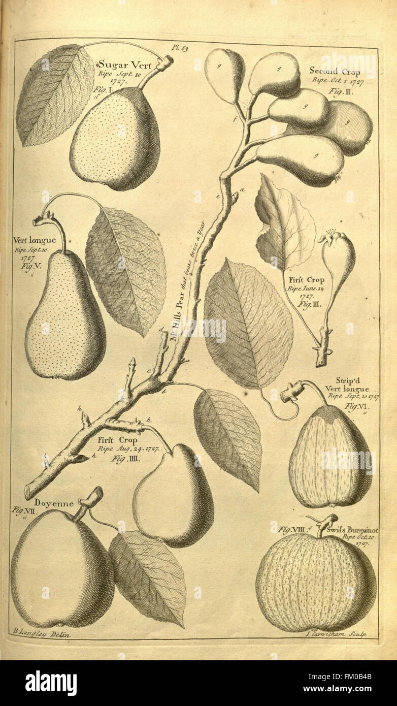 An illustrated guide on fruit gardening from the 18th century, focusing ...