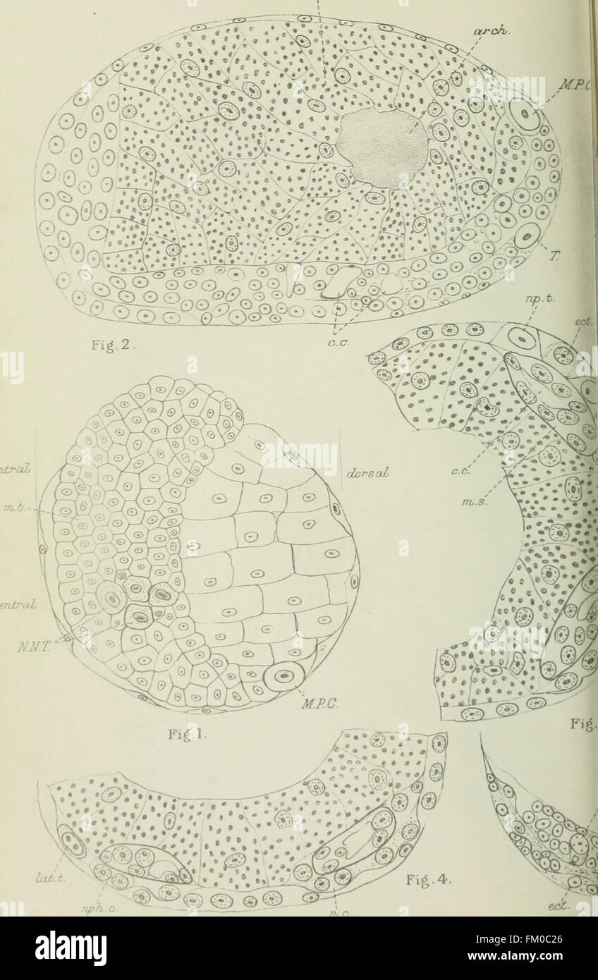 The 1853 'Quarterly Journal of Microscopical Science' publishes ...