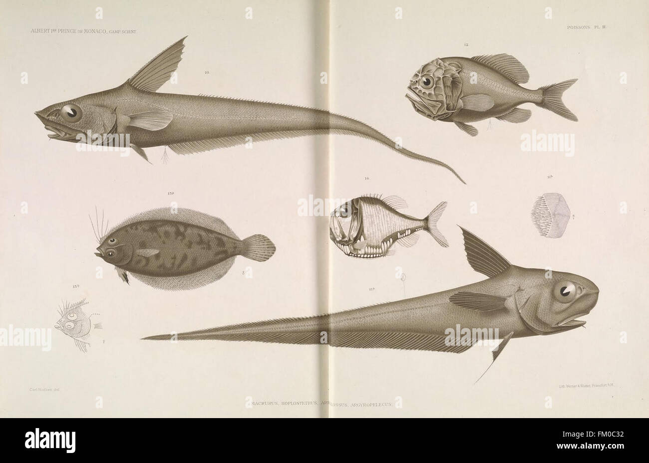 RC3A9sultats des campagnes scientifiques accomplies sur son yacht ...