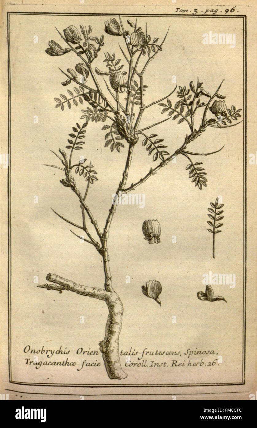 Relation d'un voyage du Levant (Plate 12 Stock Photo - Alamy