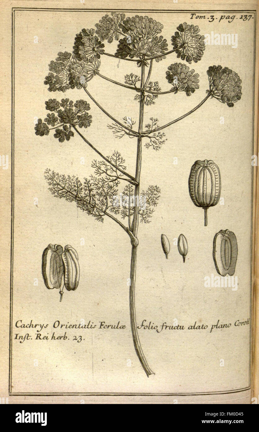 Voyage du levant hi-res stock photography and images - Alamy