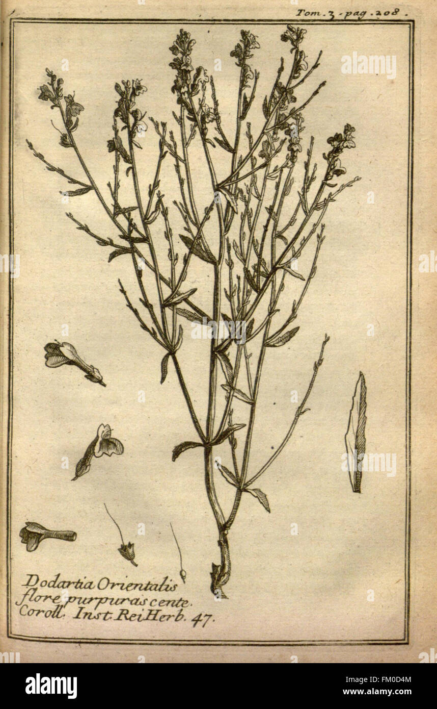 Voyage du levant hi-res stock photography and images - Alamy