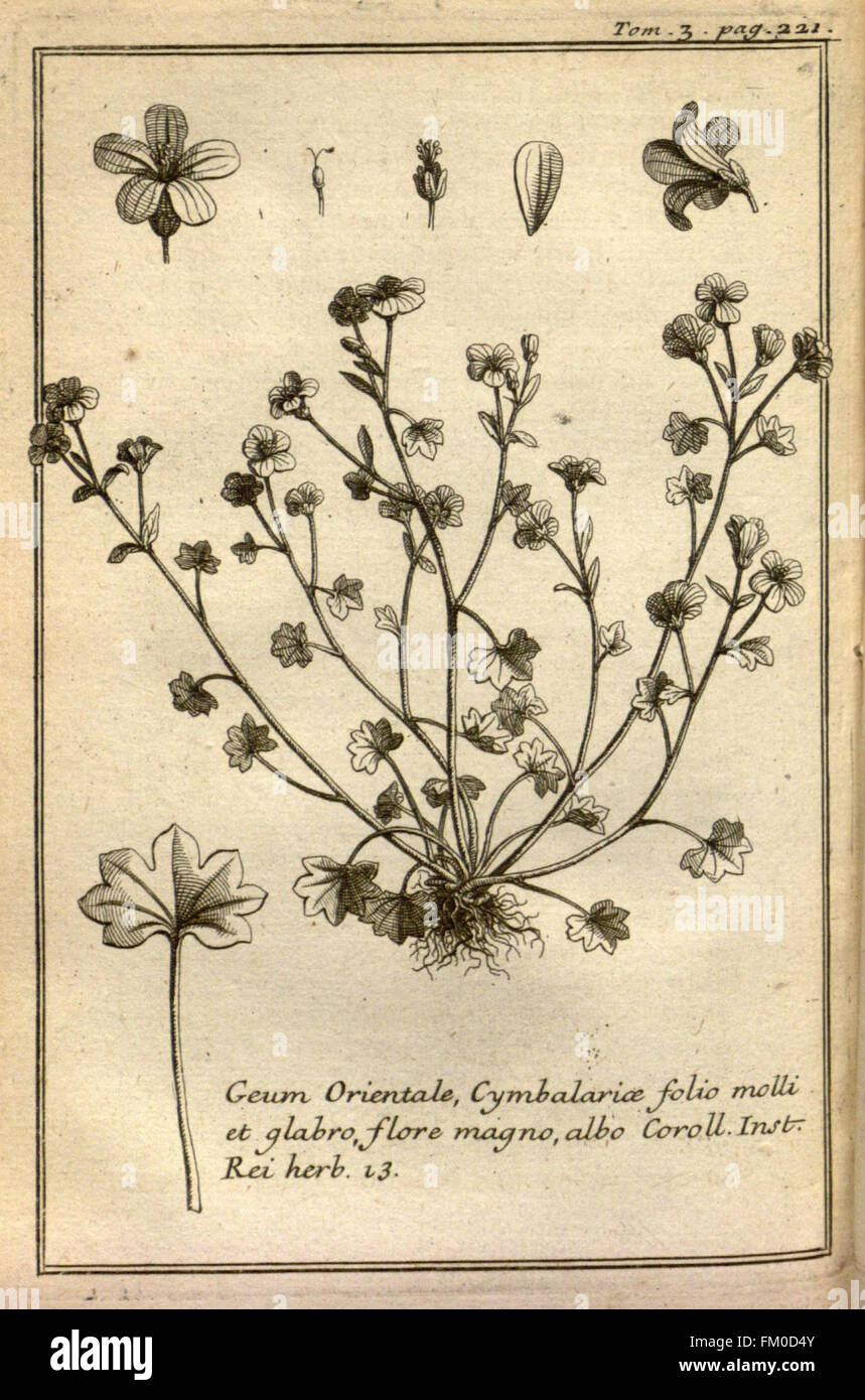 Relation d'un voyage du Levant (Plate 33 Stock Photo - Alamy