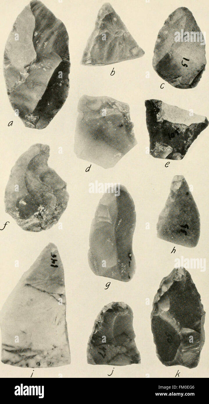 Smithsonian miscellaneous collections (1936 Stock Photo - Alamy