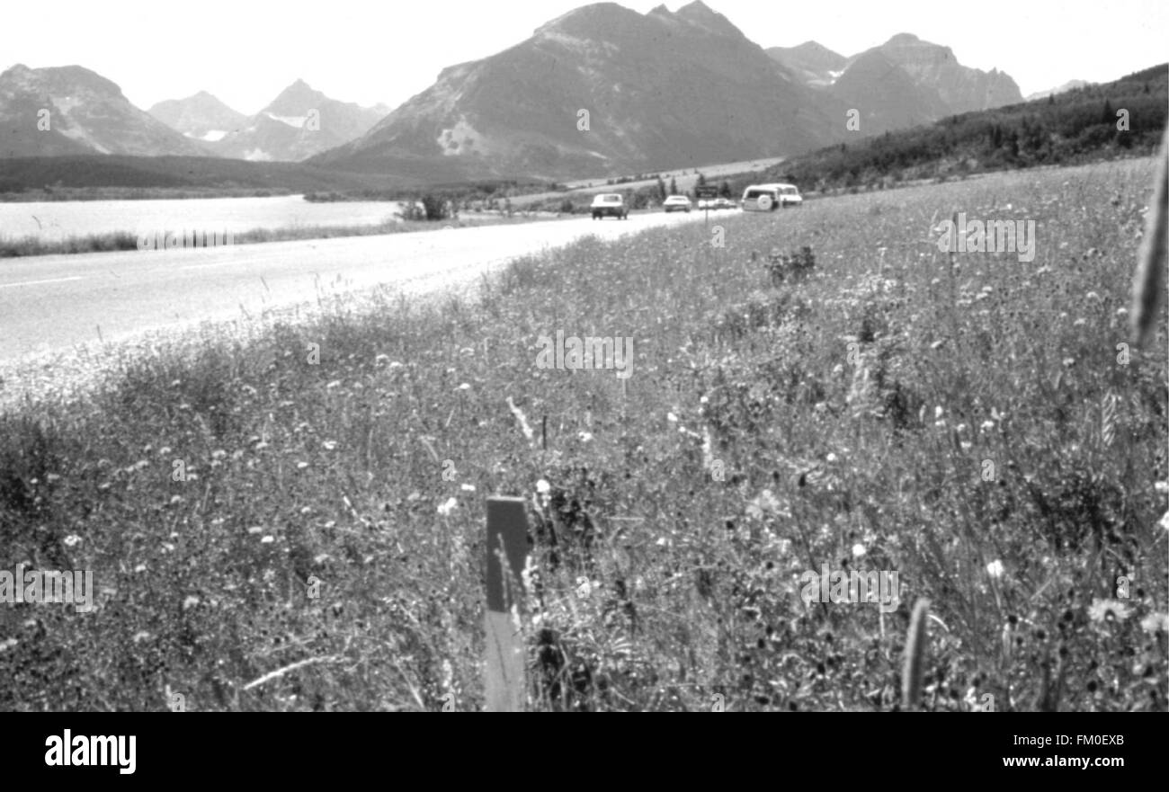 Borders management Black and White Stock Photos & Images - Alamy