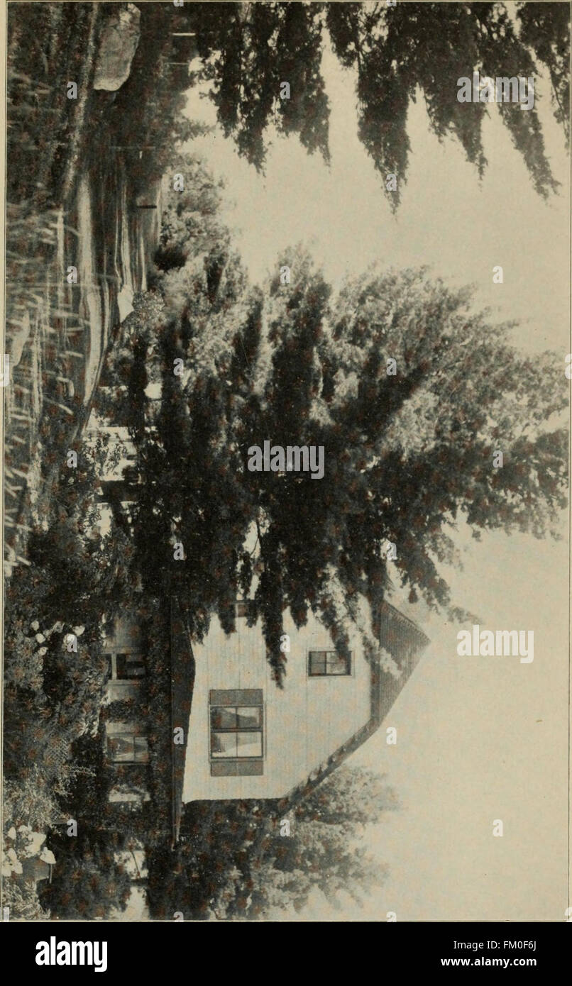 'Theodore Thomas: A Musical Autobiography' provides an account of the ...