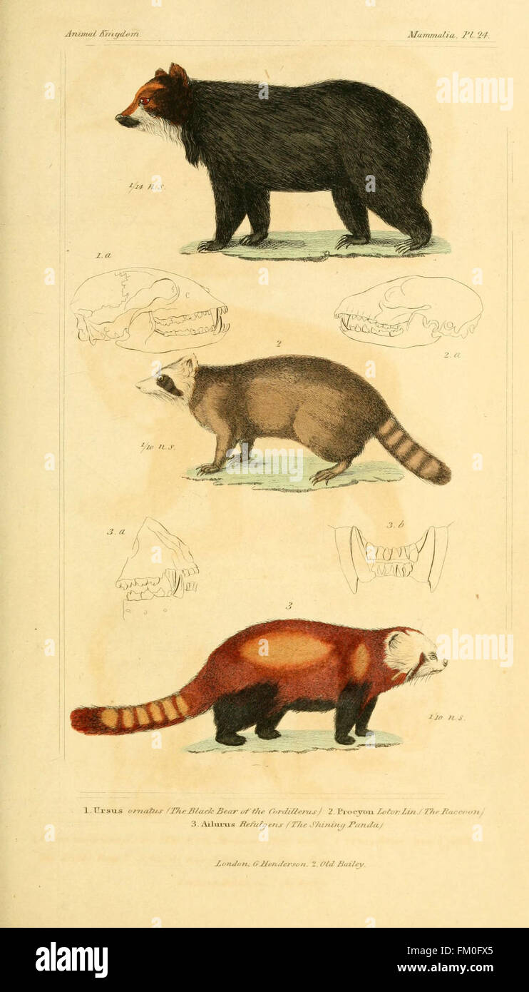 A foundational work in animal classification, providing detailed ...