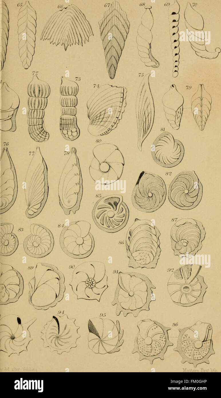 This publication provides comprehensive coverage of natural history ...