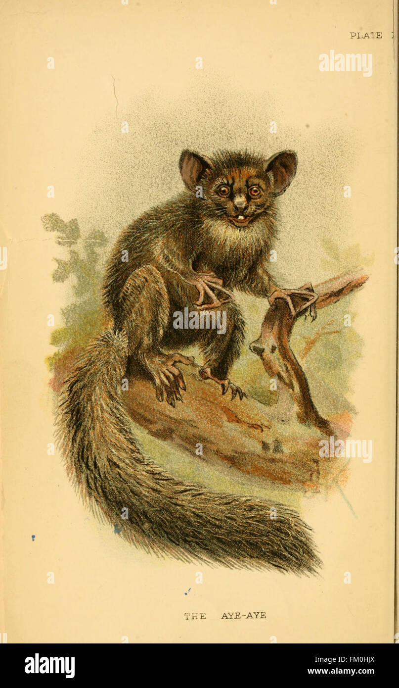 This handbook provides detailed illustrations and descriptions of ...
