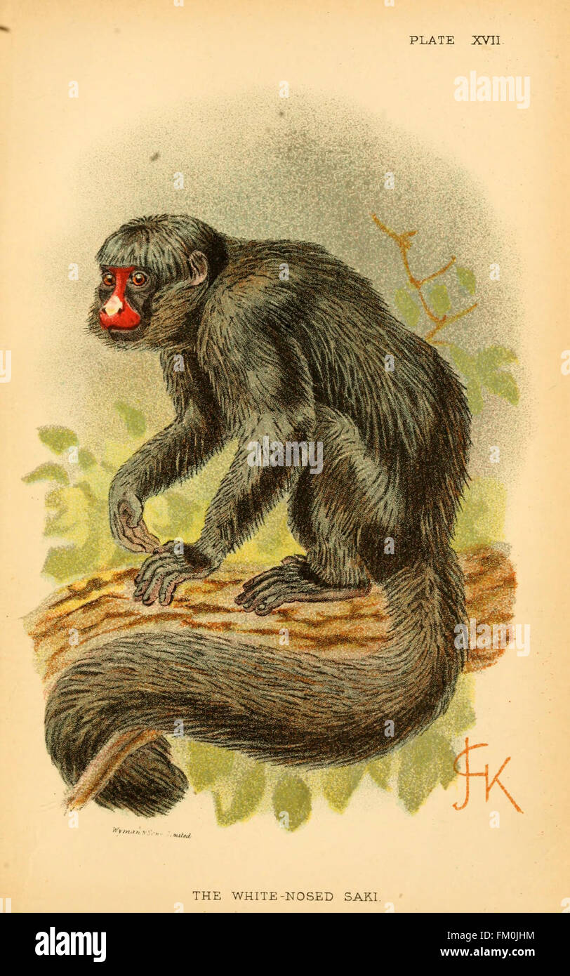 This handbook provides a detailed overview of primate species, with ...