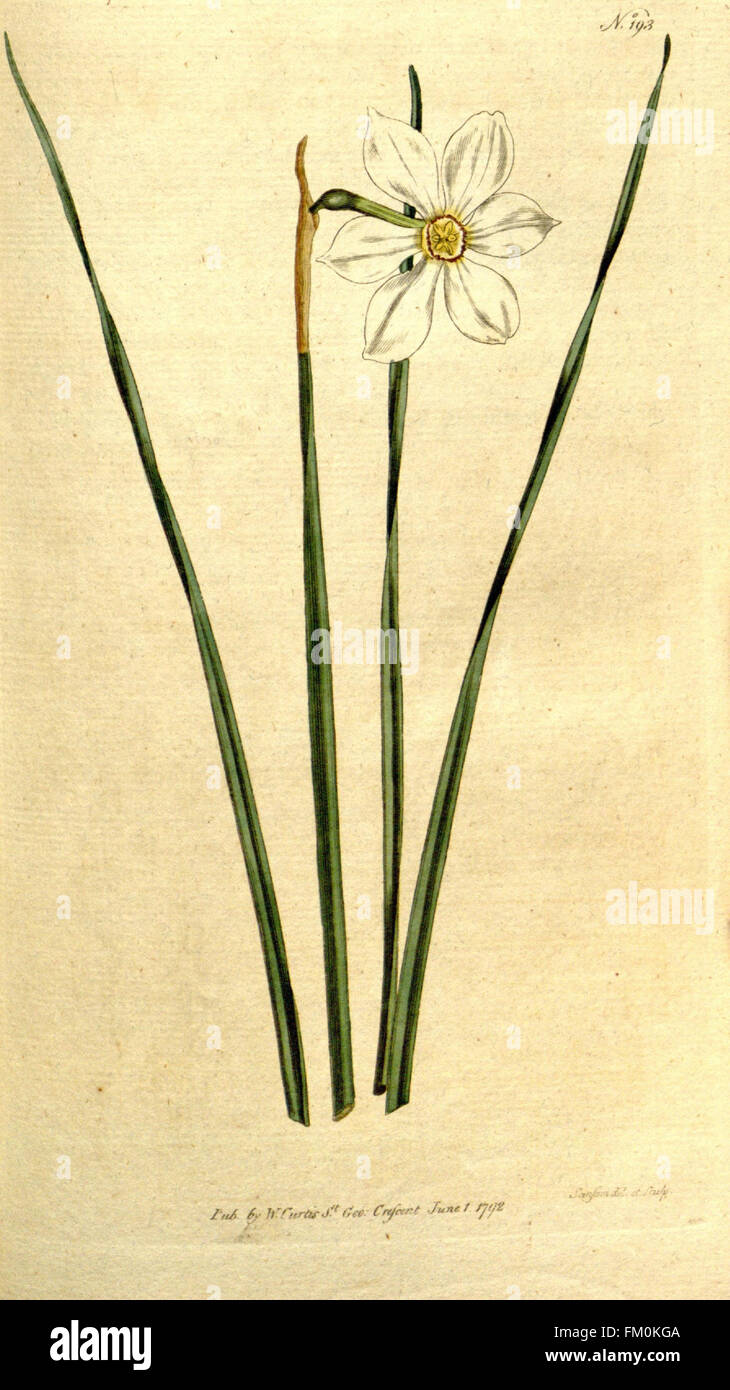 A periodical publication focused on botany, featuring detailed floral ...