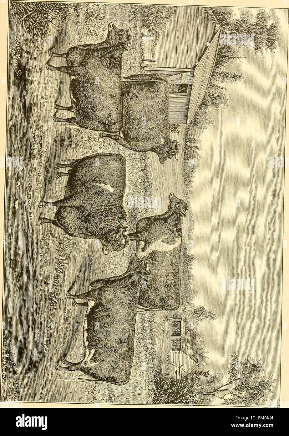 This 1887 work explores livestock breeding principles and the genetics ...