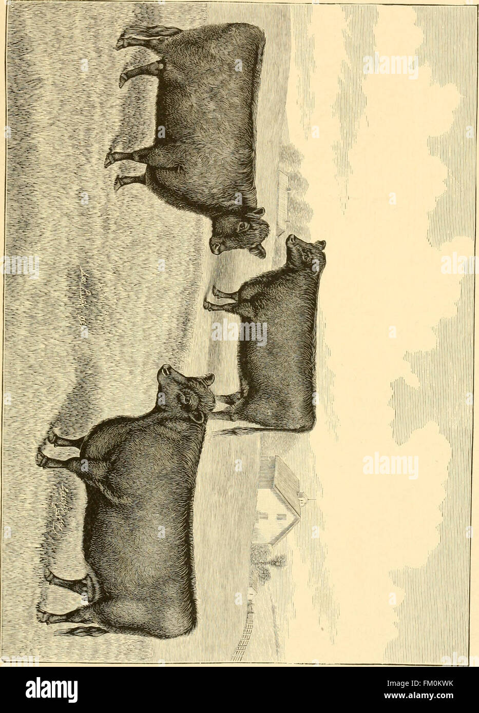 'The Breeds of Live Stock and the Principles of Heredity' from 1887 ...