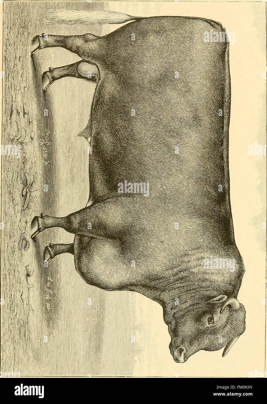 *The Breeds of Live Stock, and the Principles of Heredity* (1887 ...