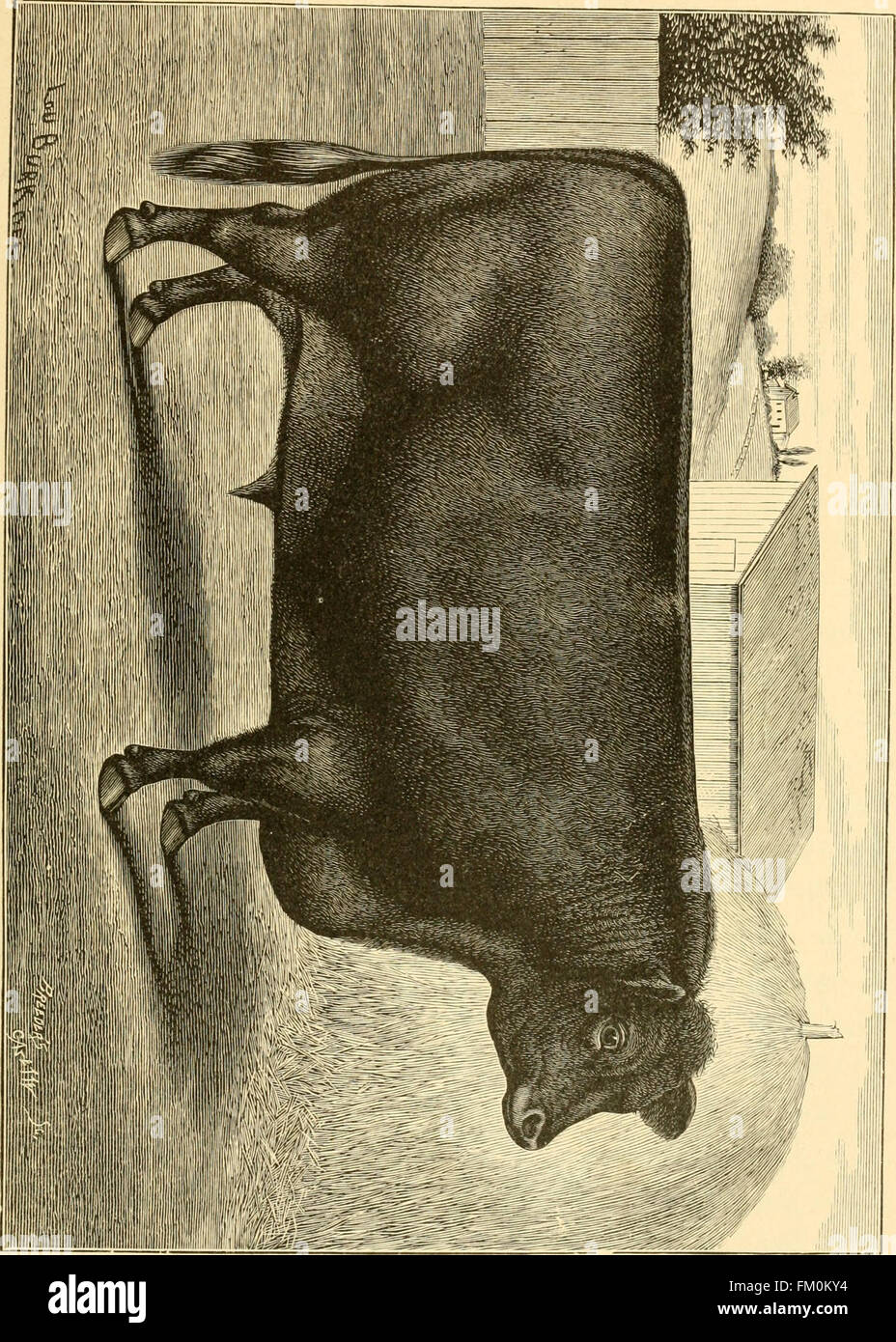 This 1887 work discusses the principles of heredity in livestock ...