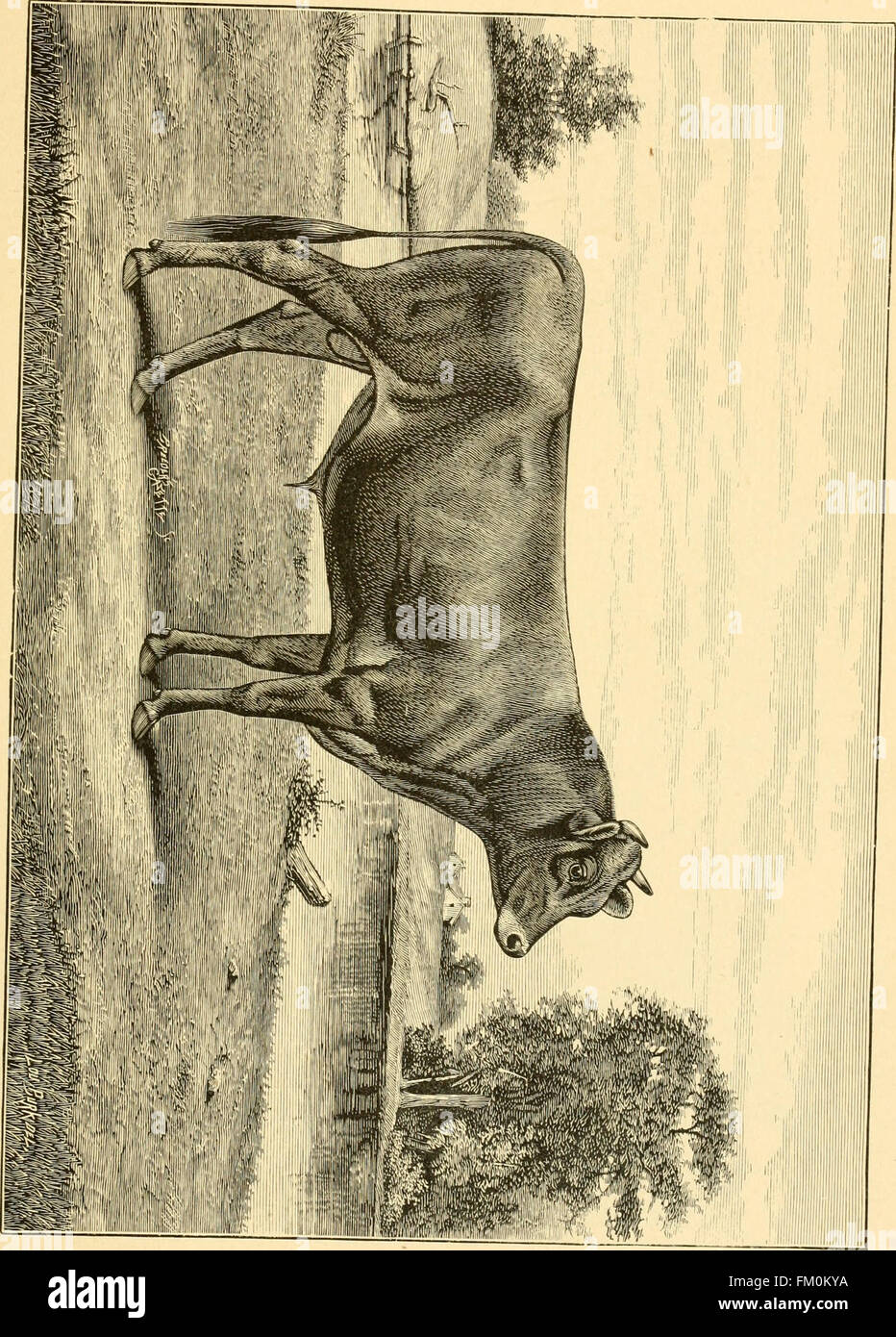 This 1887 work discusses livestock breeds and the principles of ...