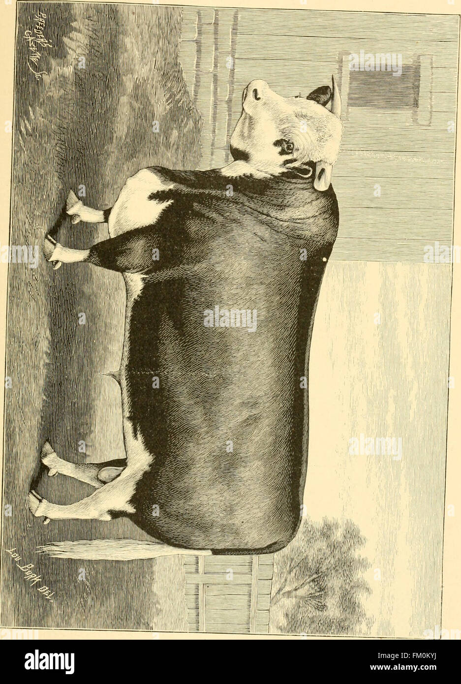 *The Breeds of Live Stock, and the Principles of Heredity* (1887 ...