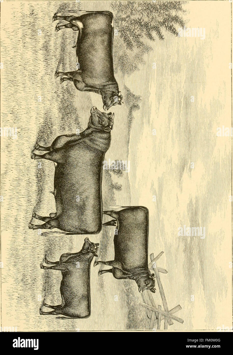 This work discusses various livestock breeds and the principles of ...