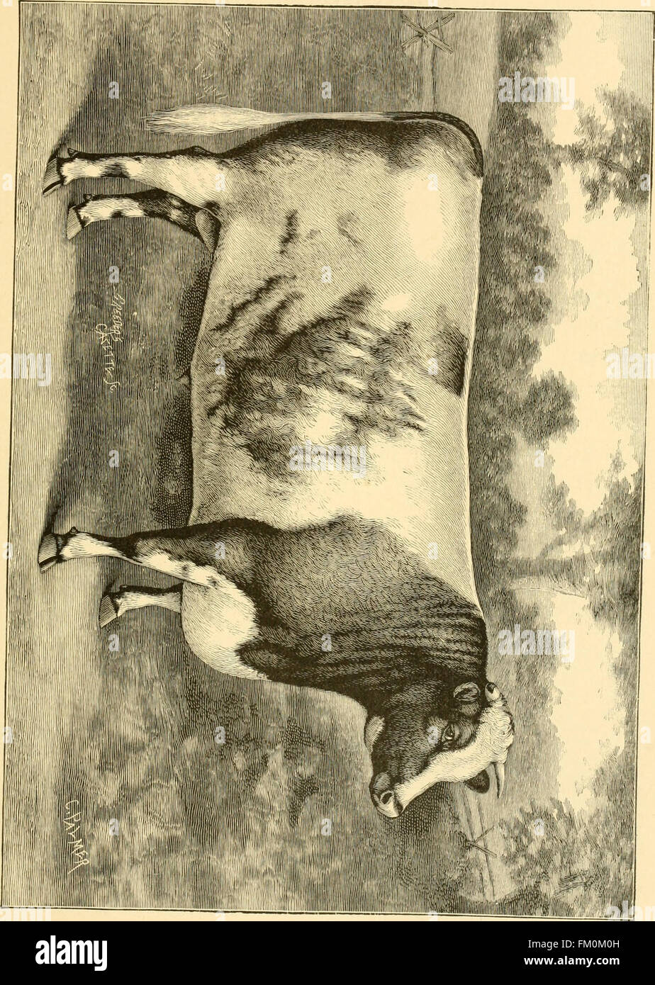 'The Breeds of Live Stock' (1887) details various livestock breeds and ...