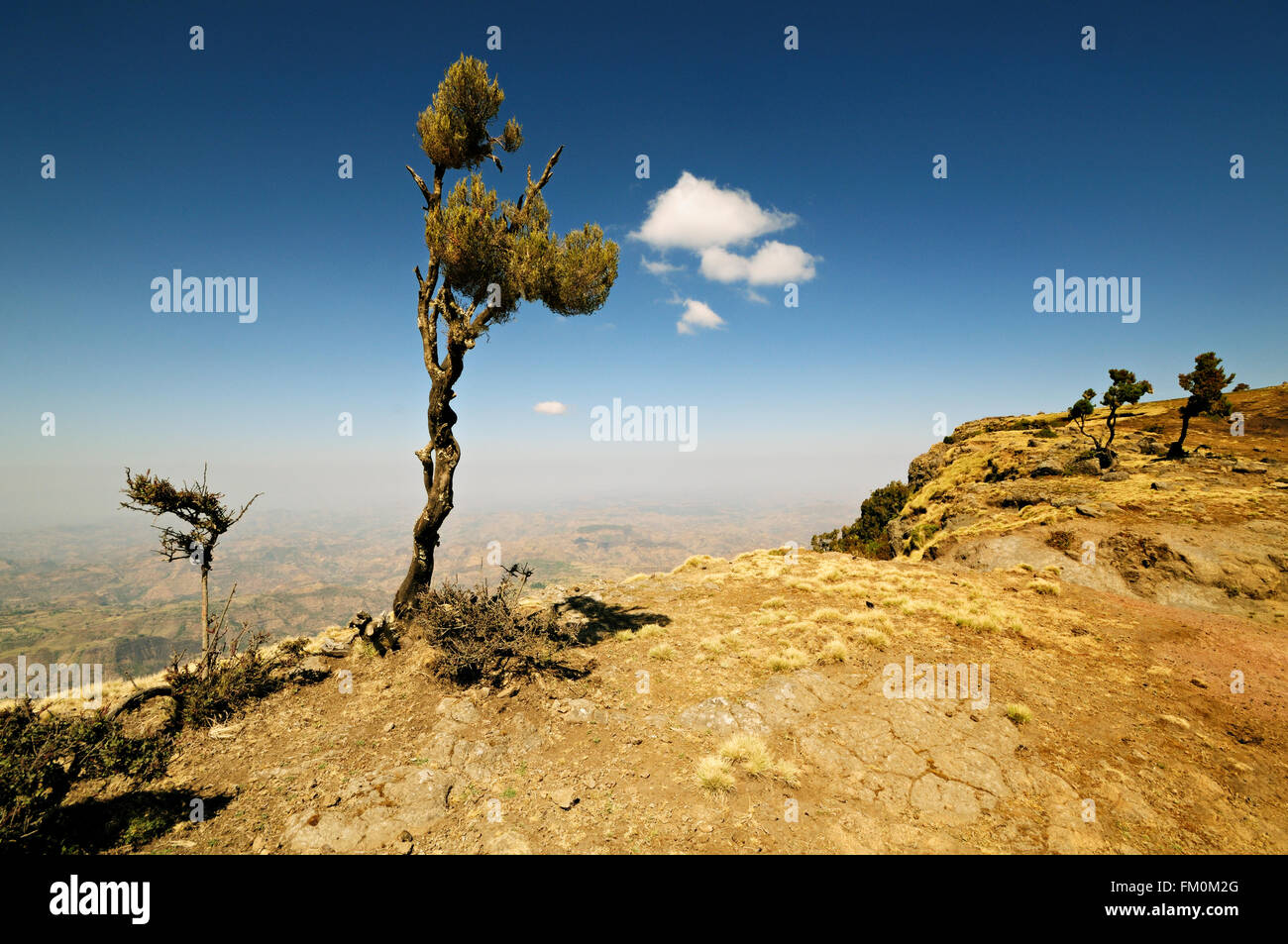 Park small mountains hi-res stock photography and images - Alamy