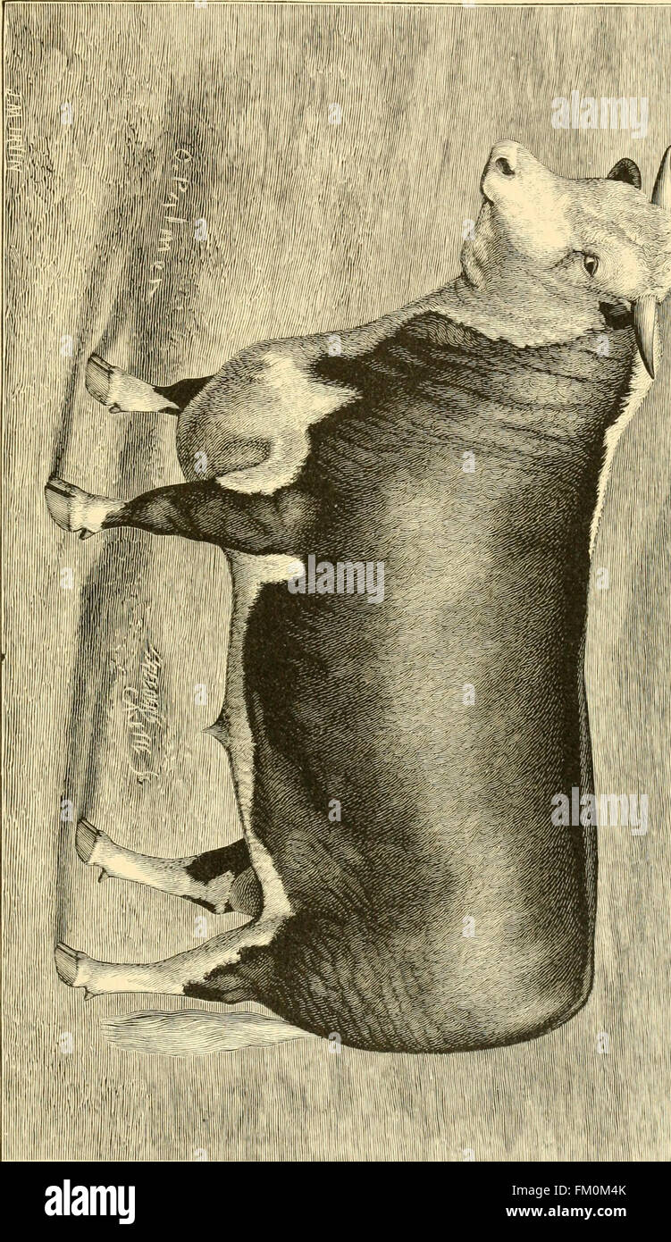 *The Breeds of Live Stock, and the Principles of Heredity* (1887 ...