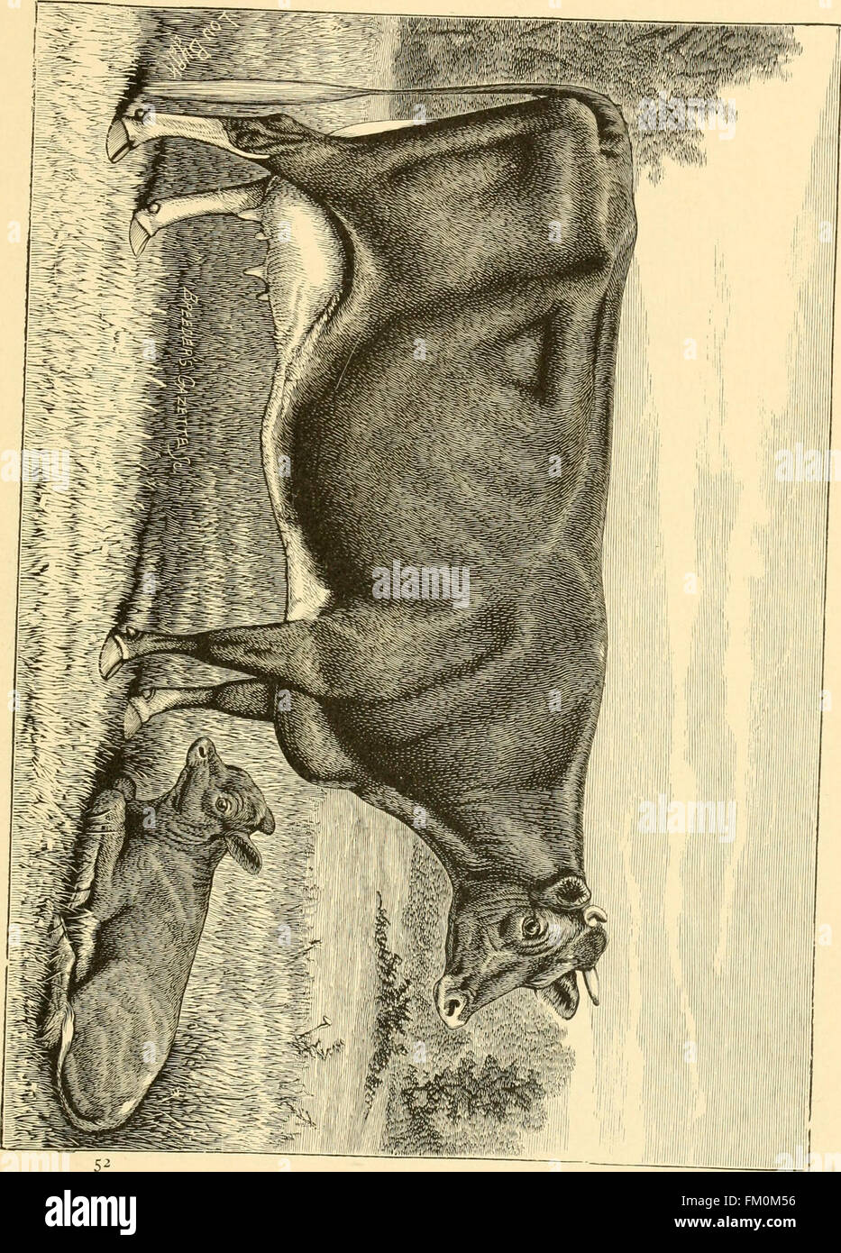 'The Breeds of Livestock, and the Principles of Heredity' (1887 ...