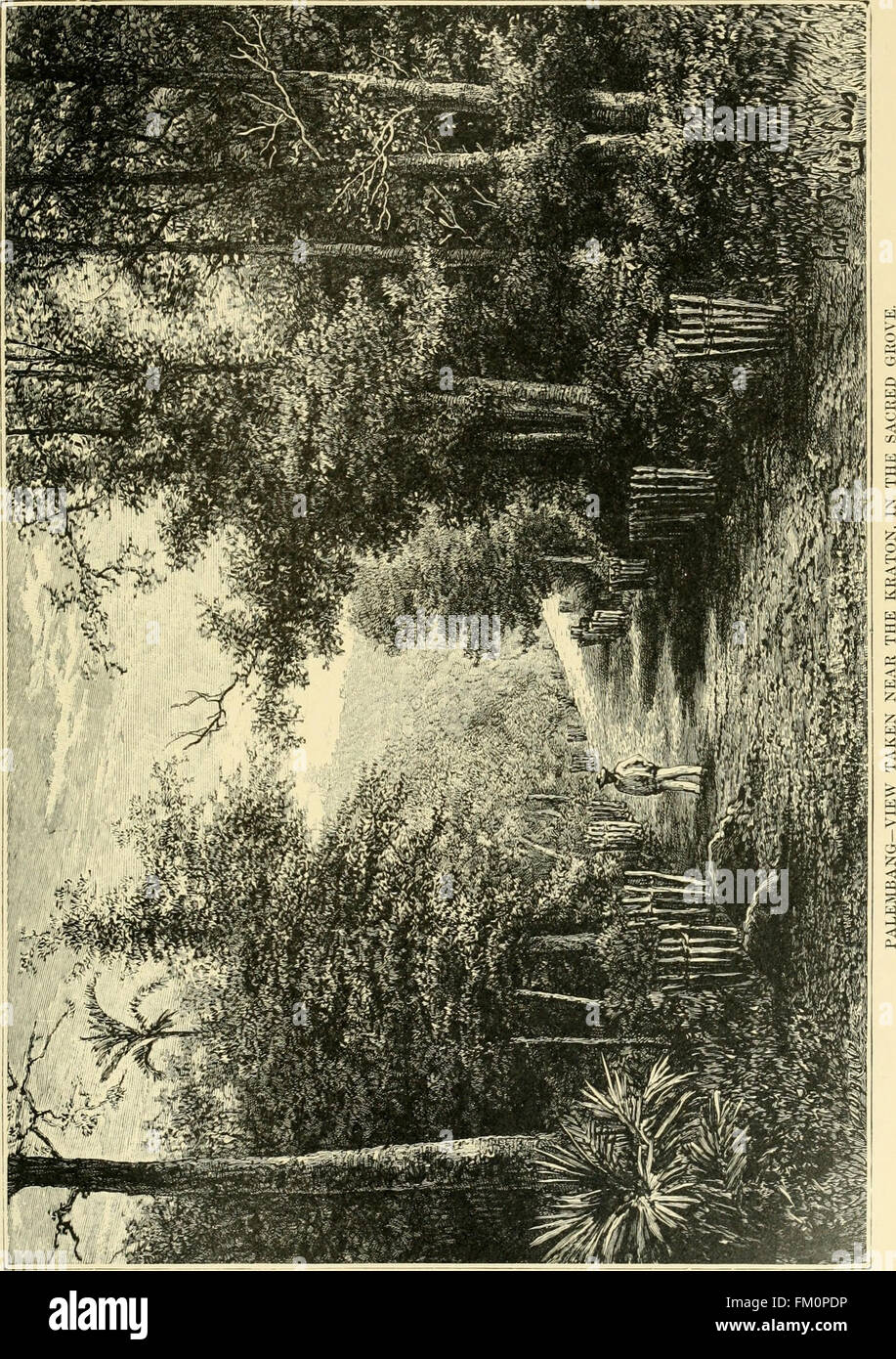 A comprehensive work from 1890 detailing the diversity of the earth's ...