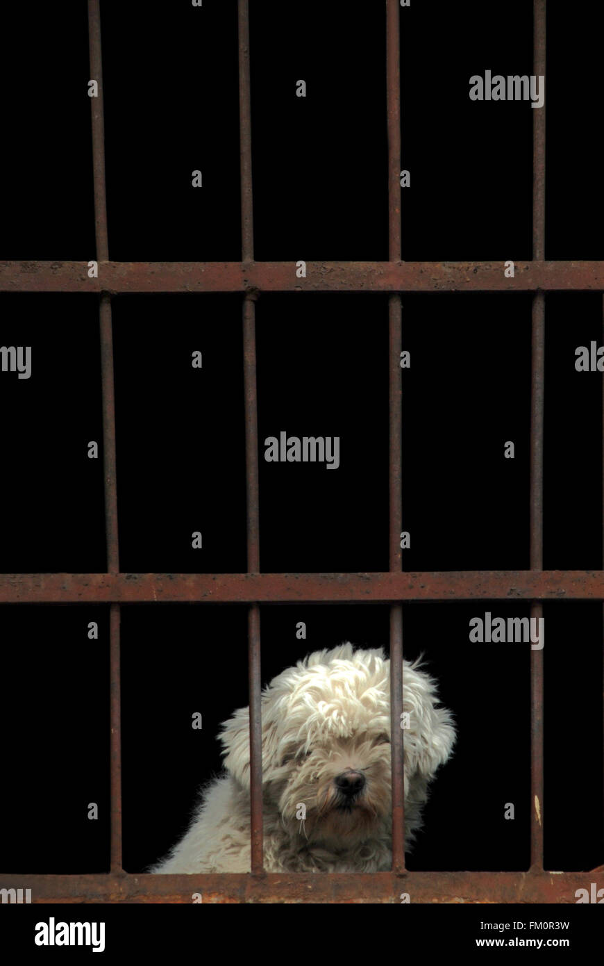 White Bars On Window High Resolution Stock Photography and Images - Alamy