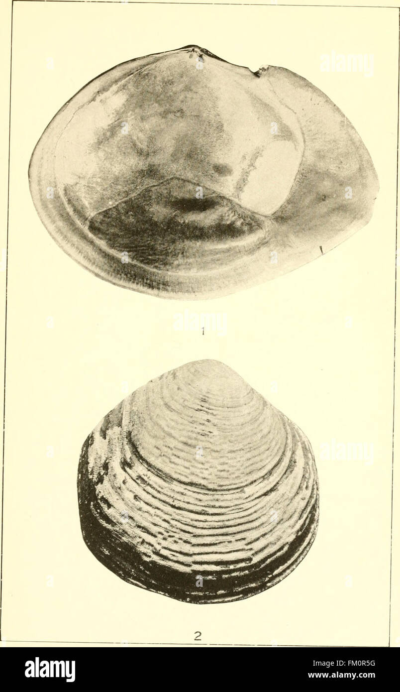 This publication provides a detailed guide to the edible species of ...