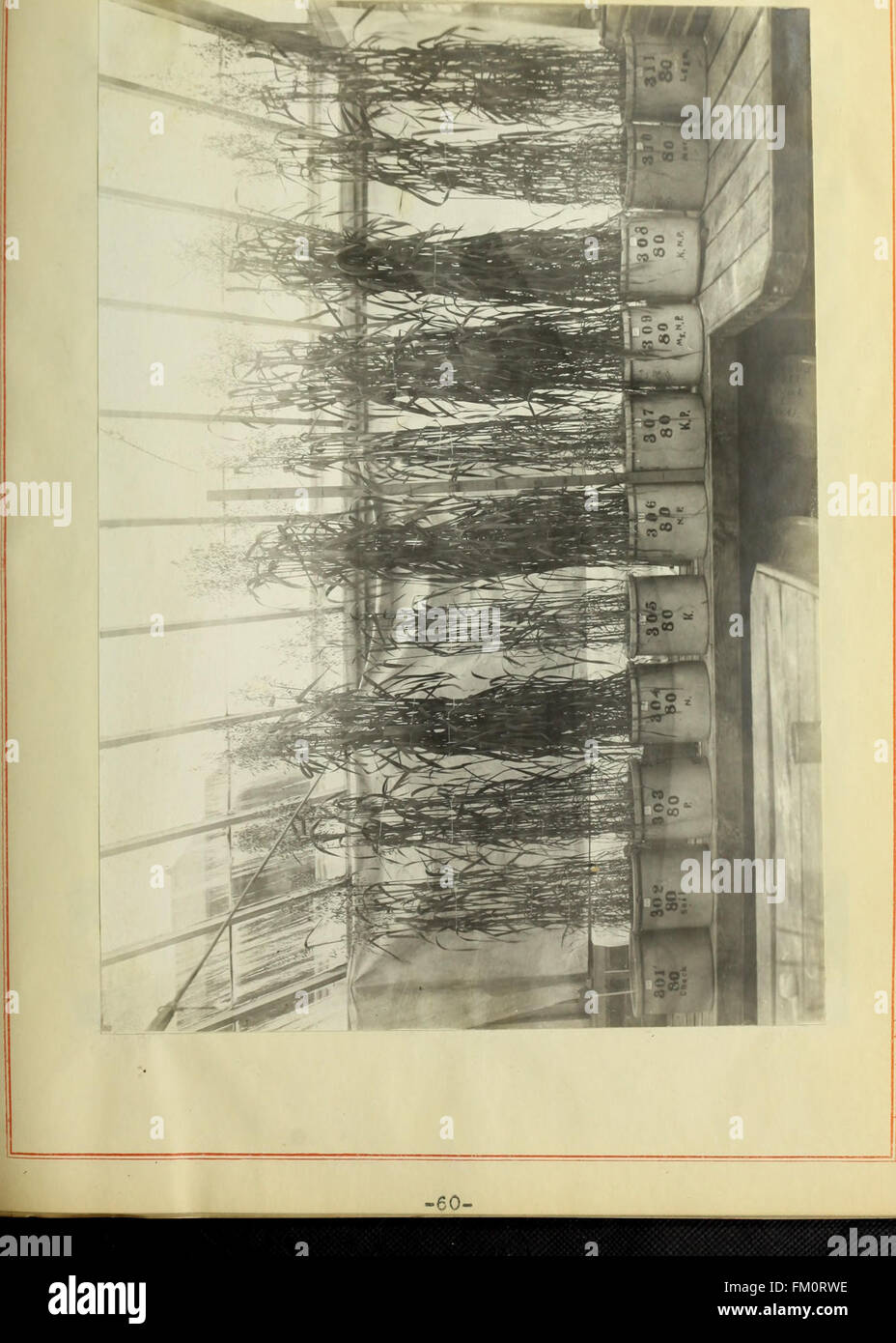 This study examines how soil fertility impacts the transpiration ...