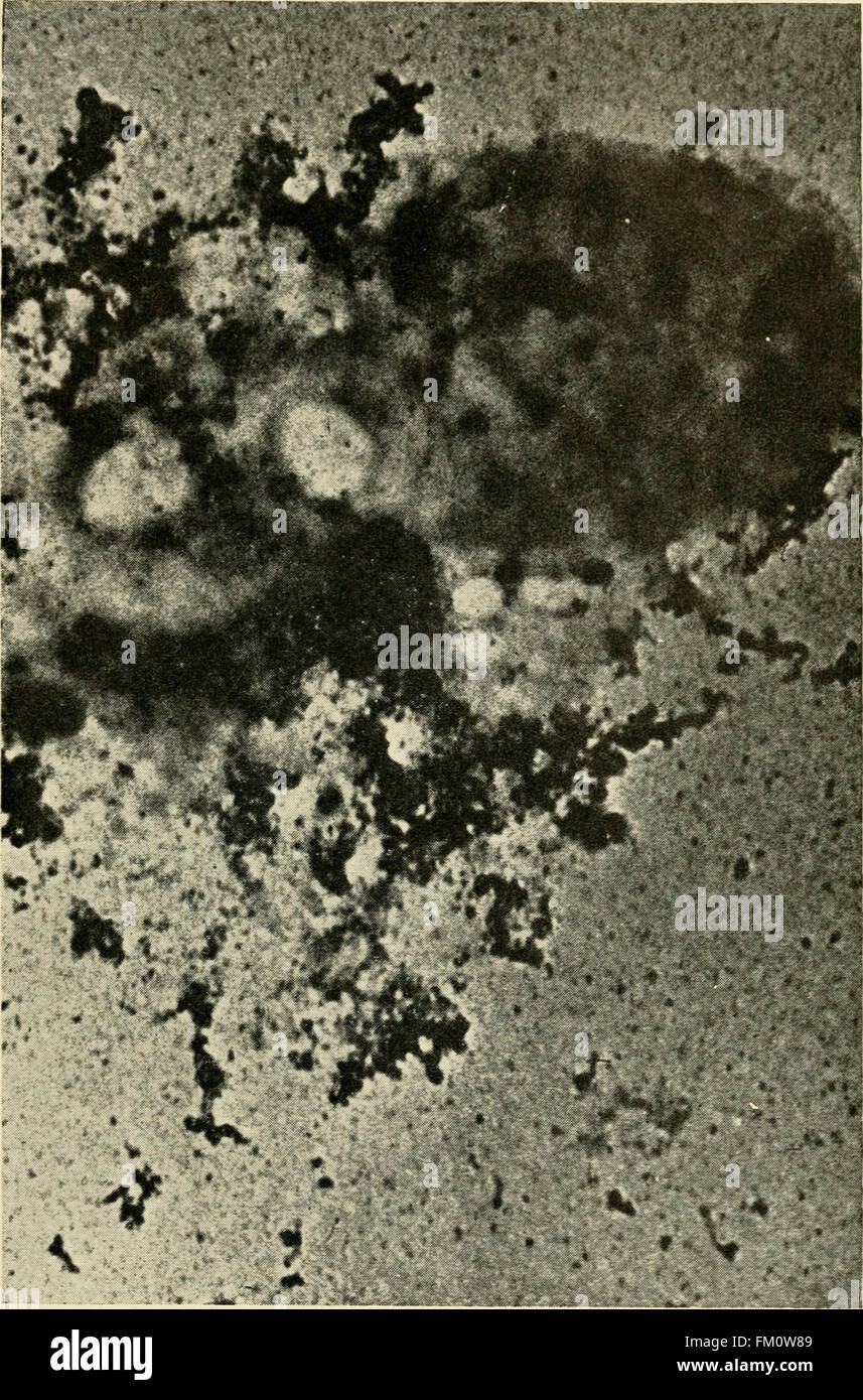 Vintage electron microscope drawing hi-res stock photography and images ...