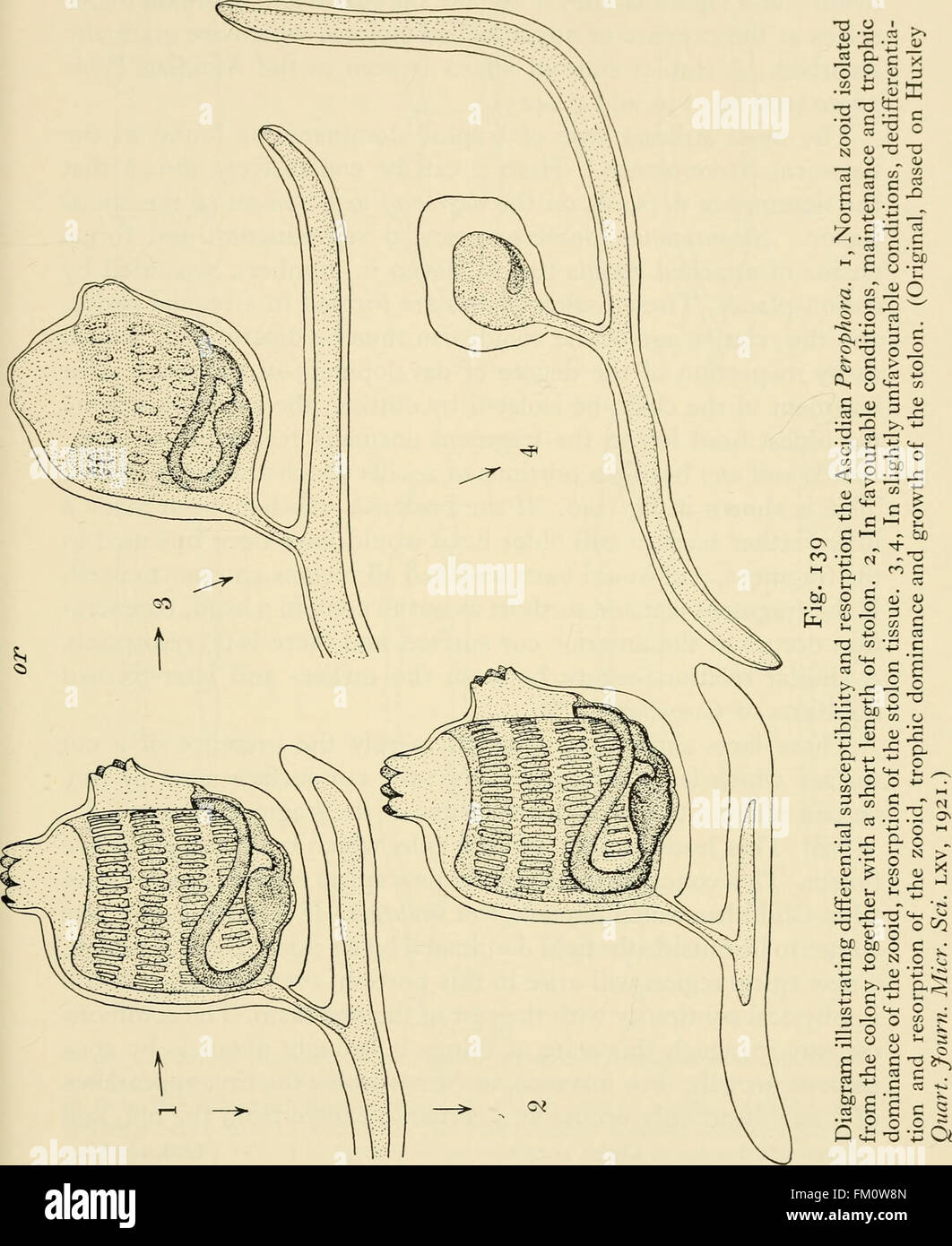 *The Elements of Experimental Embryology* (1963) provides a ...