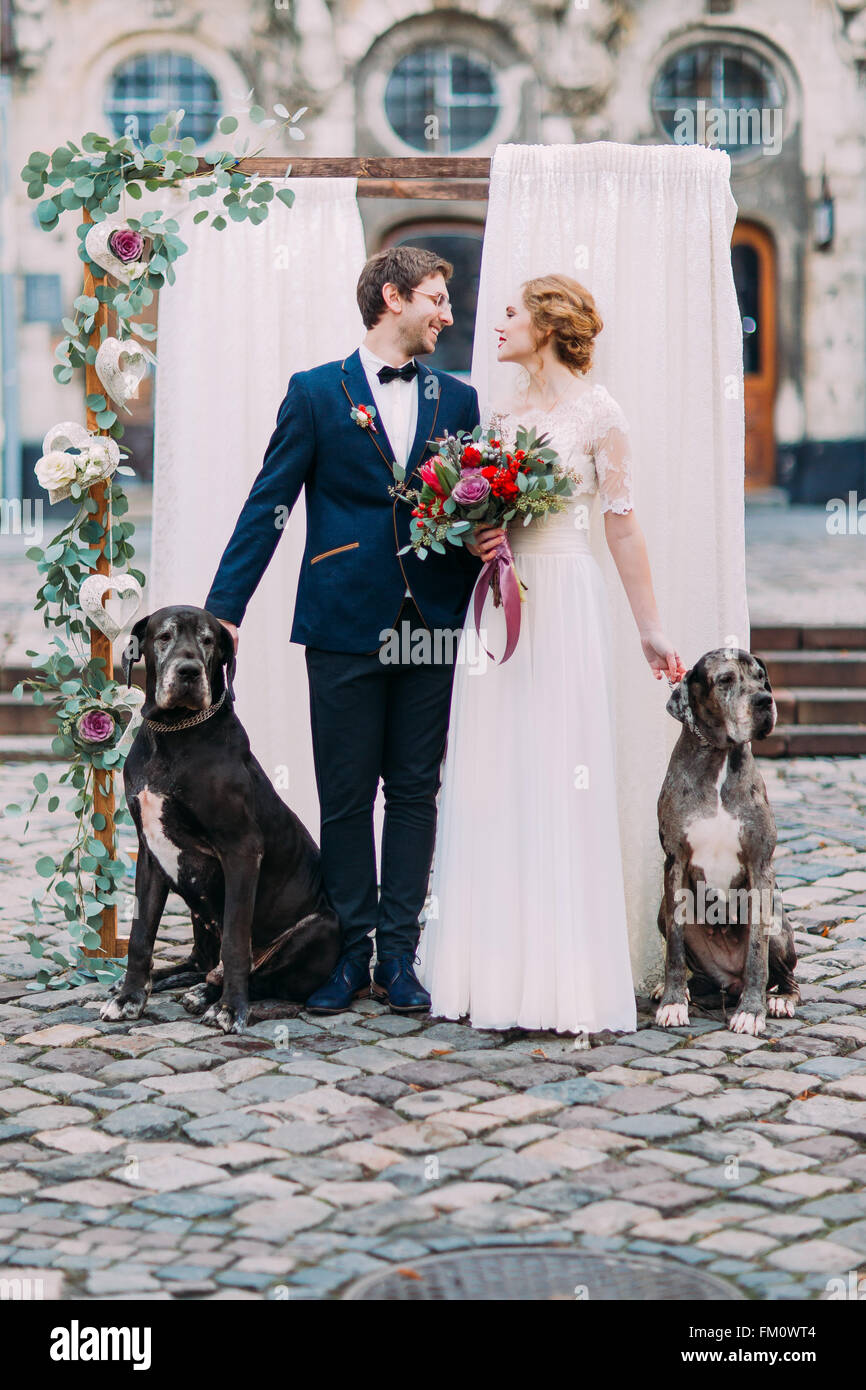 Charming wedding couple with two purebred dogs softly look on each ...