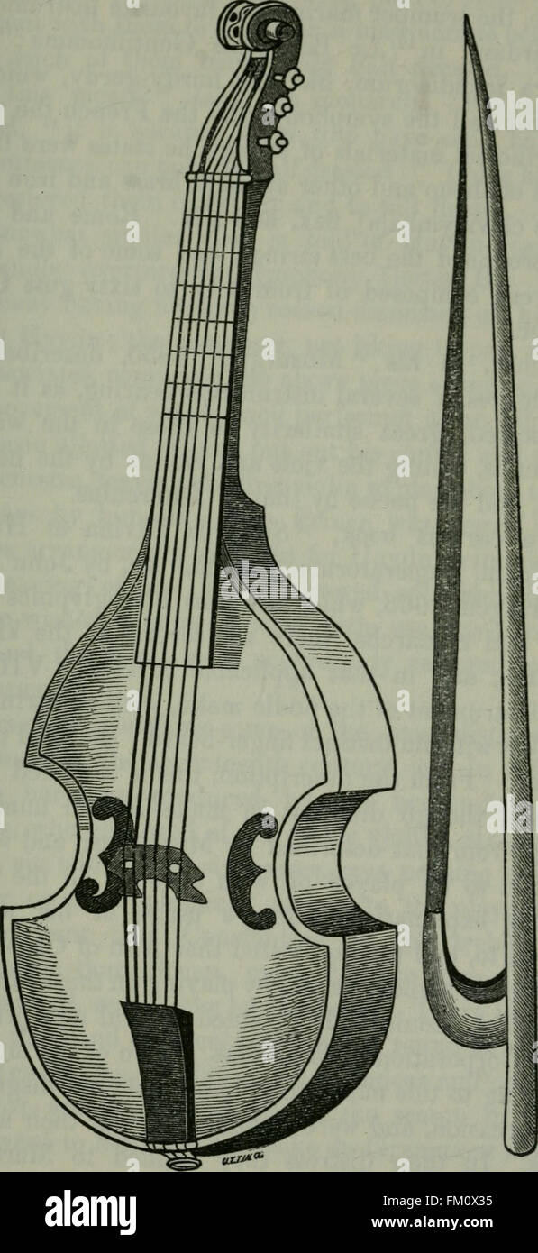 This work explores the history of the violin and other bowed ...