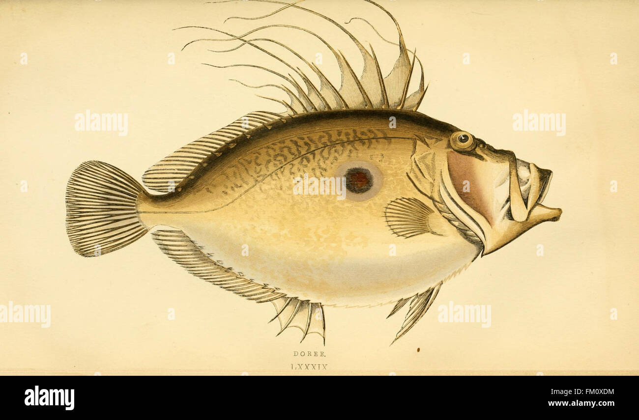 This work presents a comprehensive history of fish species native to ...