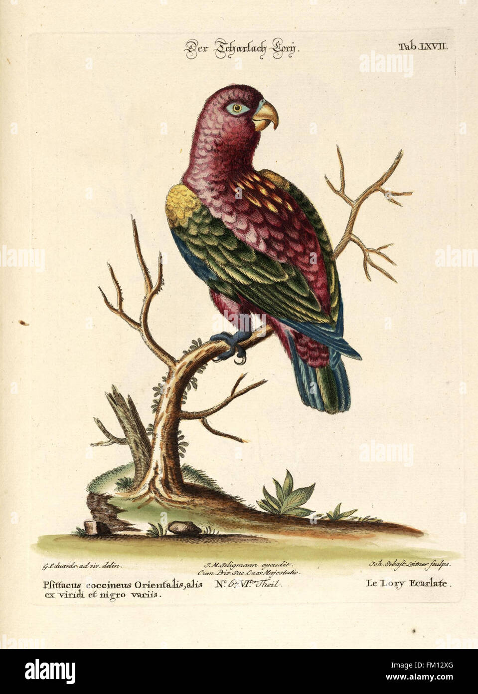 This collection features rare and foreign bird species, providing ...