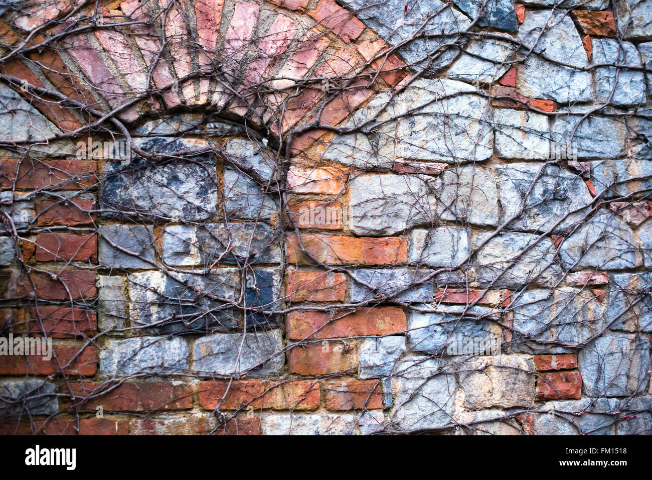 Waiting by dry stone wall hi-res stock photography and images - Alamy