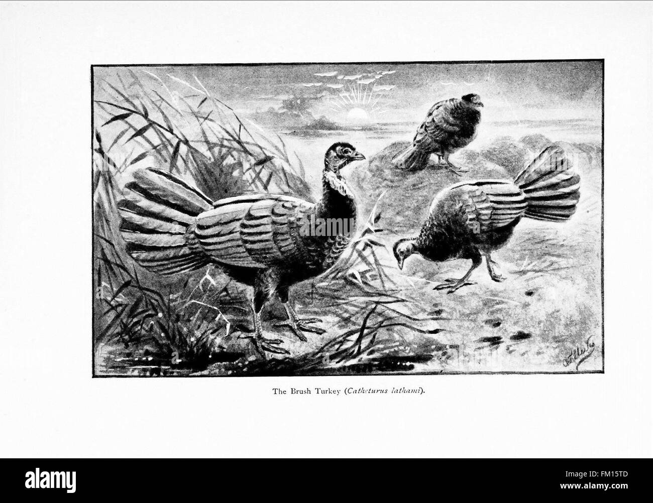 Fascinating research Black and White Stock Photos & Images - Alamy