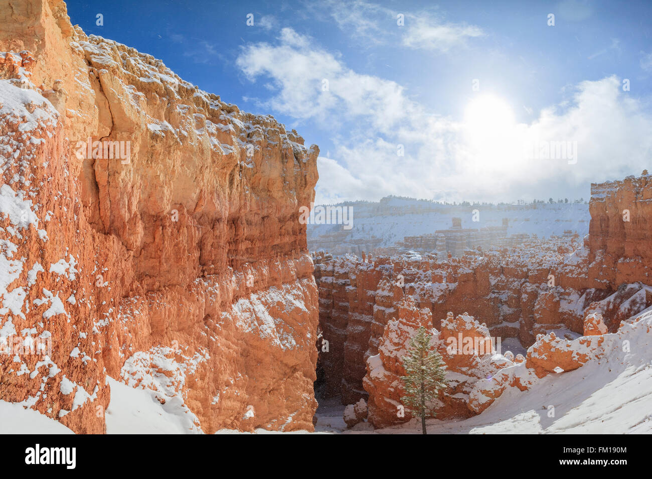 Superb view of Sunset Point of Bryce Canyon National Park at Utah Stock ...