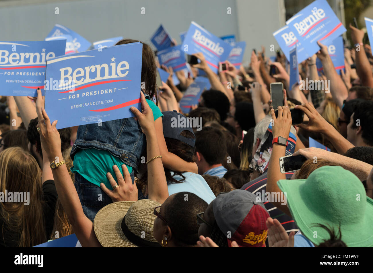Bernie arms hi-res stock photography and images - Alamy