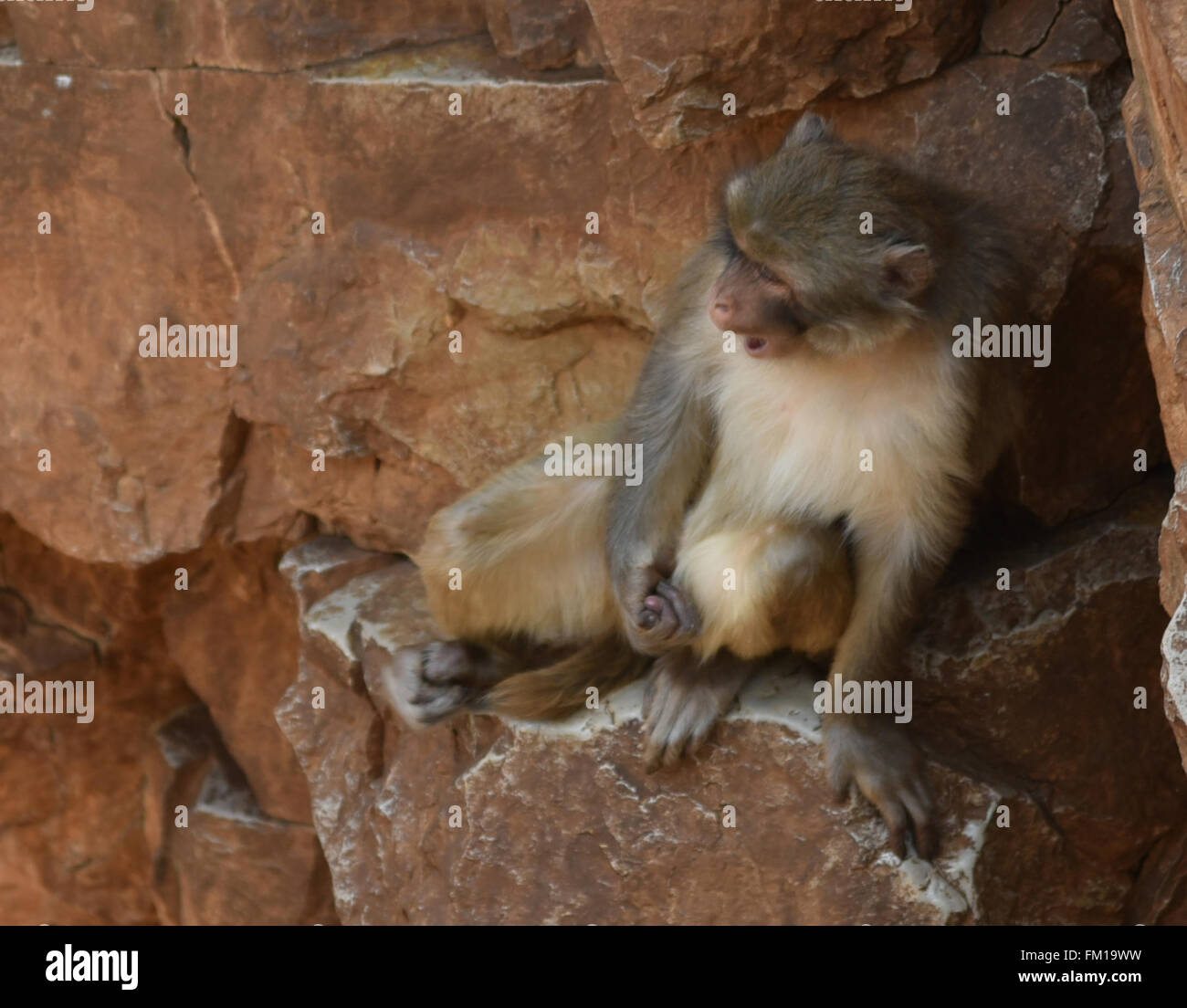 8 meter wide hi-res stock photography and images - Alamy