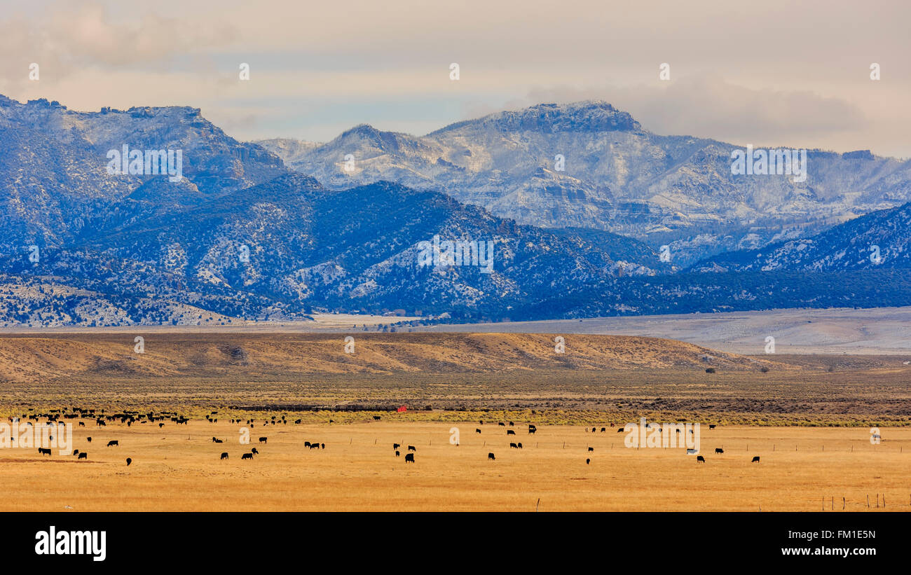 Beautiful country side view near highway 15 with a great mountain view ...